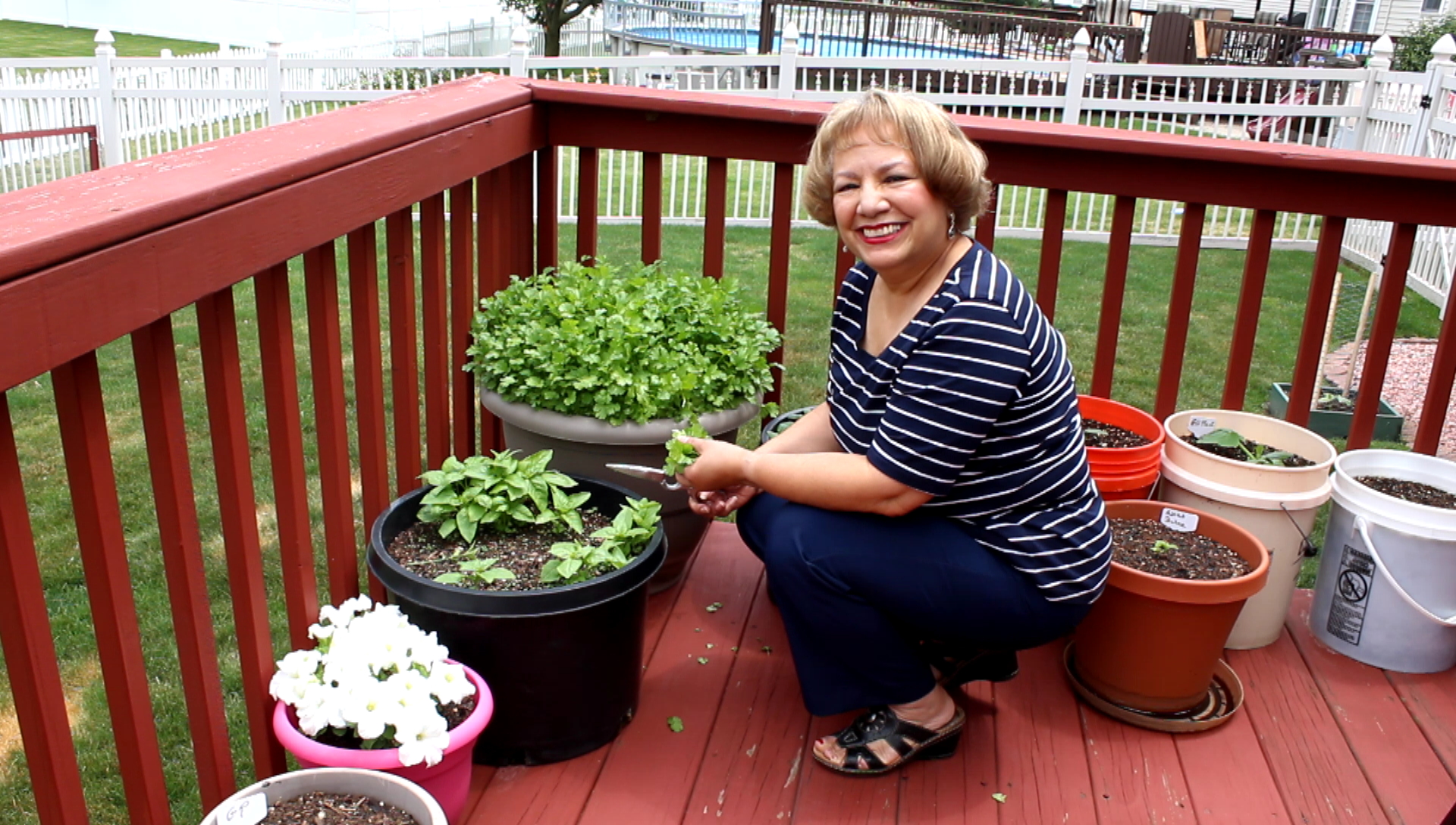 Arroz Mamposteao - Aida's Kitchen